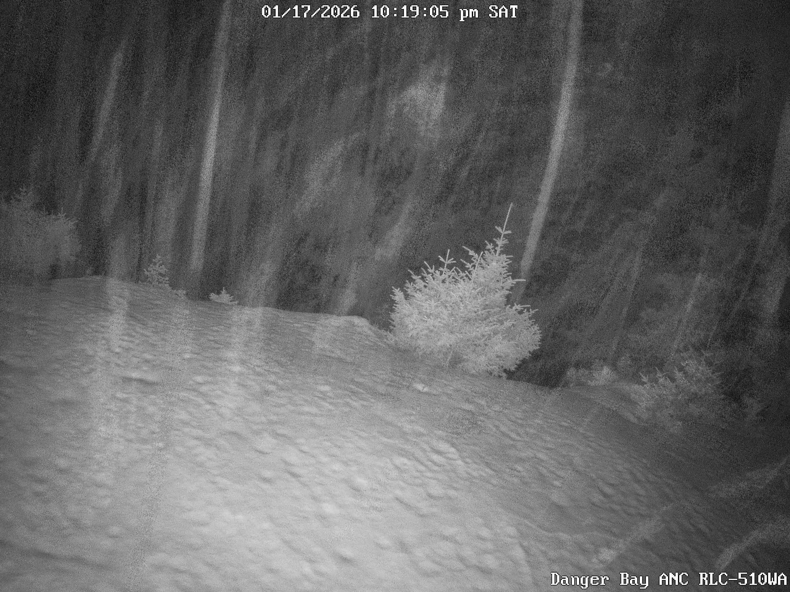 Click a frame to jump to that image