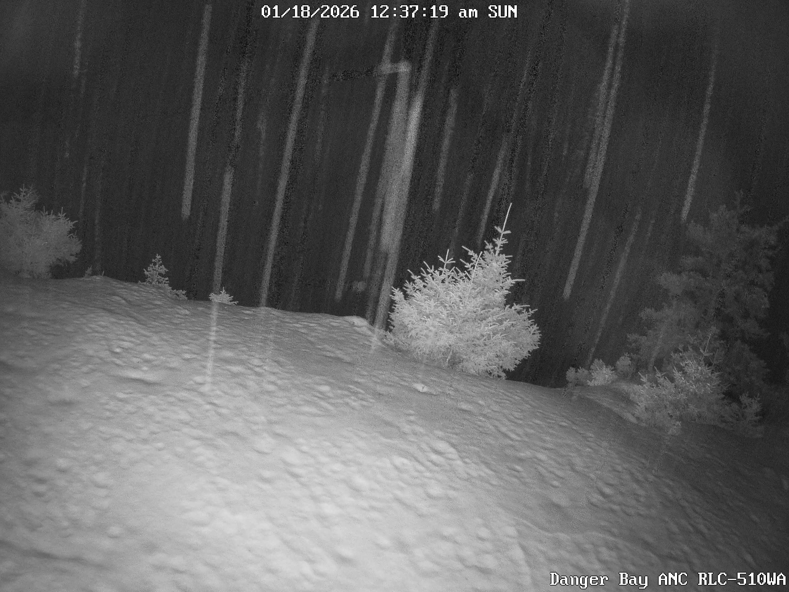 Click a frame to jump to that image